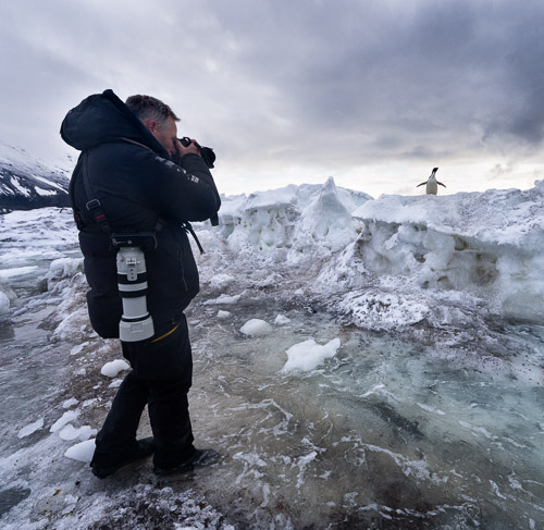 Expert tips - WildPhoto Travel